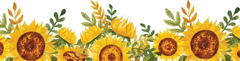 Sunflower Border Vector Art Icons And Graphics For Free Download