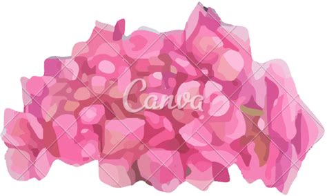 Hydrangea Watercolor 素材 Canva可画
