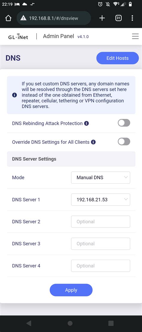 Dns For PiHole Routers GL INet