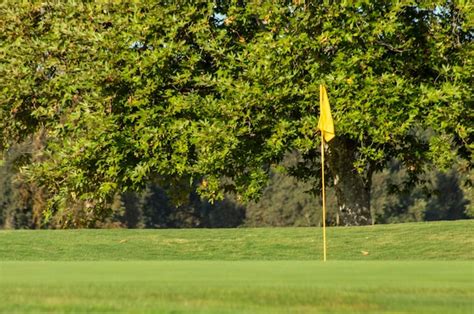 Premium Photo View Of Golf Course And Flag With Green Trees In Background