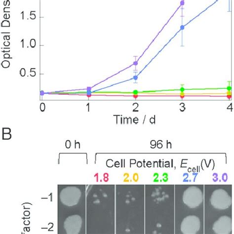 Cell Growth Of R Eutropha A Time Course Of R Eutropha Cell Growth