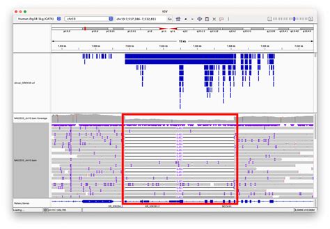A Guide To Reviewing BAM Files EPI ME Blog
