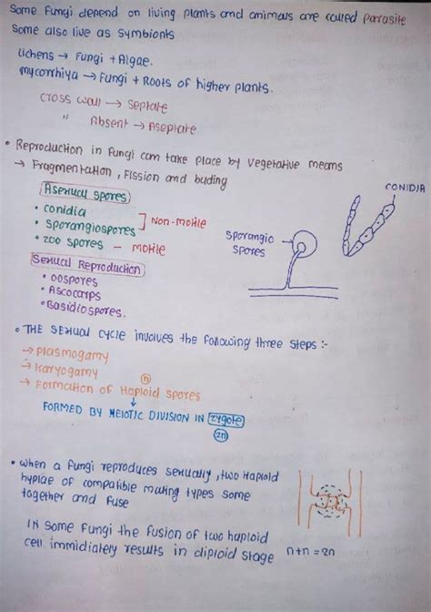Biological Classification