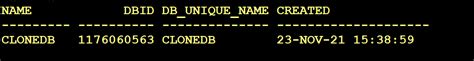Master RMAN Cloning Seamlessly Transition From Prod To Test