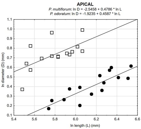 Relationships Between Diameter And Length For All Three Regions Of The Download Scientific