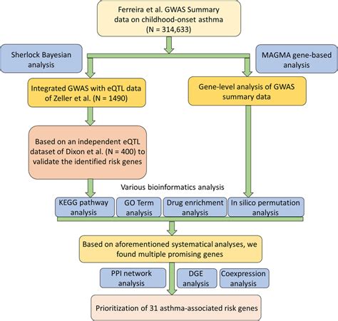 The Workflow Of Current Study For All The Genomics Analysis Download Scientific Diagram