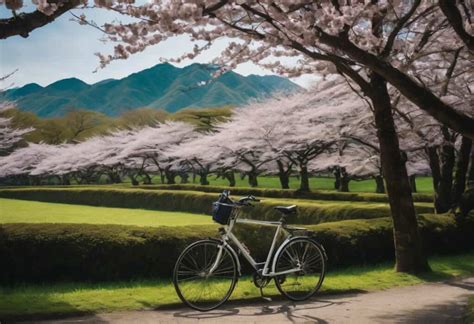 The 7 Best Japanese Cycling Animes Of All Time Wise Wheeling