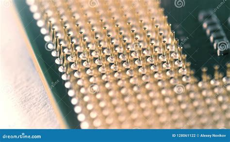Pins Of Computer CPU Or Central Processor Unit Stock Photo Image Of Technology Electricity