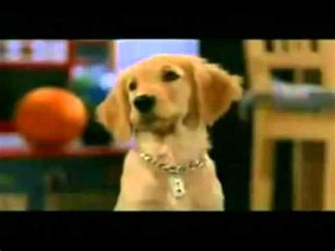 Air Buddies 2006 Trailer Youtube
