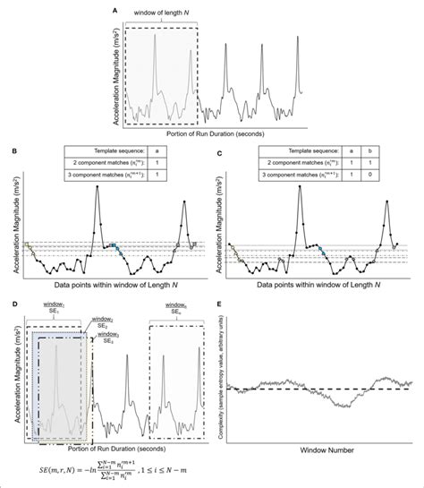 Graphical Representation Of The Vector Matching Procedure And Sample Download Scientific