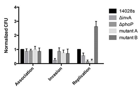High Throughput Assay To Phenotype Salmonella Enterica Typhimurium Association Invasion And
