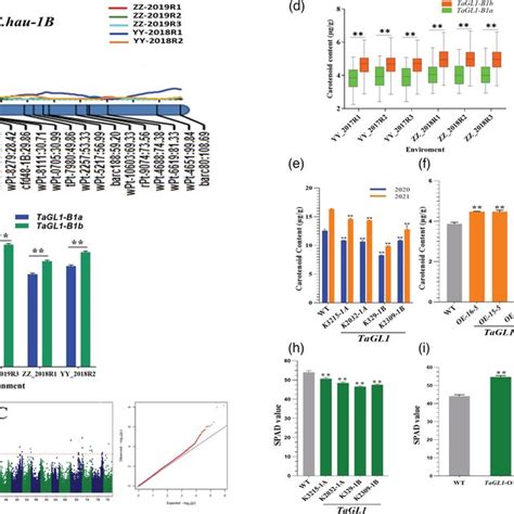 Rna‐seq Analysis And Hormone Quantification A Gene Ontology Go