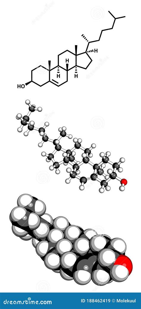 Cholesterol Molecular Model Stock Illustration Illustration Of Atom Drug