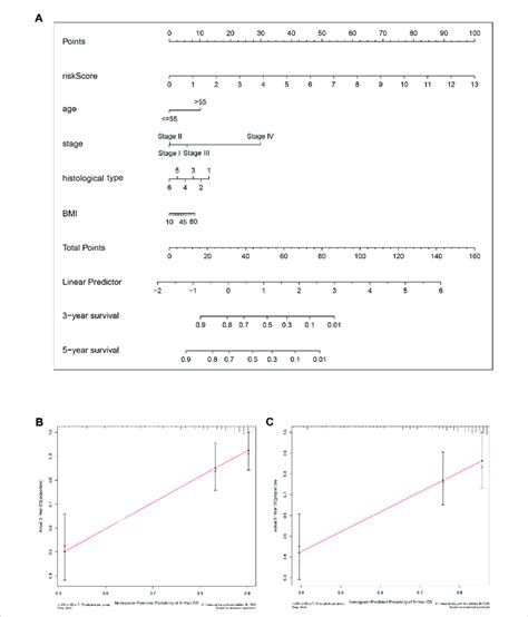 A Nomogram Inclusive Of Risk Score For Predicting Os In Cervical