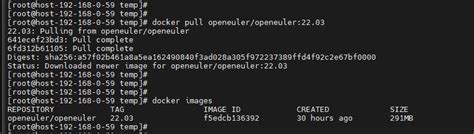 docker安装和运行openeuler容器 docker pull openeuler csdn博客
