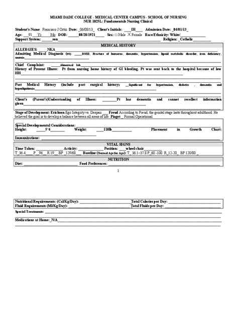 Pdf Preassignment Work Careplan Dokumentips