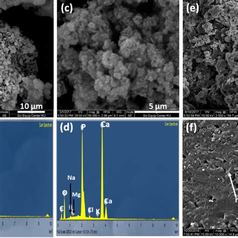 Sem Images And Eds Spectra Of Synthesized Ha A B Mha C D Download Scientific