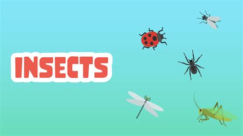 Cultural Diversity In The Classroom Fostering Inclusivity