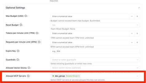 Mcp Overview Litellm