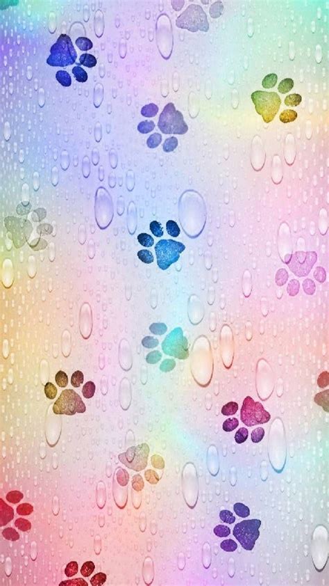 Rainbow Paw Prints Iphone Wallpaper Glitter Paw Wallpaper Wallpaper