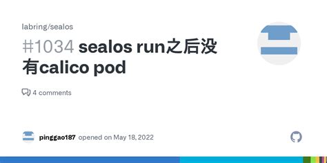 Sealos Run之后没有calico Pod · Issue 1034 · Labringsealos · Github
