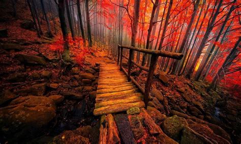 Fantasy Fall Of A