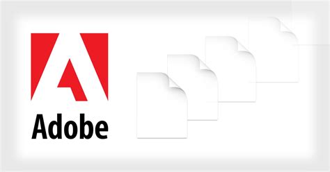 Photog Sues Adobe Says Premiere Pro Bug Deleted Files Worth 250k