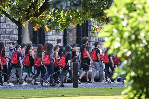 В Ирландии будут изменены веб интерфейсы реестра компаний и реестра бенефициаров Schmidt And Schmidt