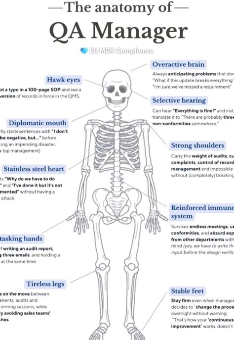 the real anatomy of qa manager they evolve under pressure fueled by… imran saeed