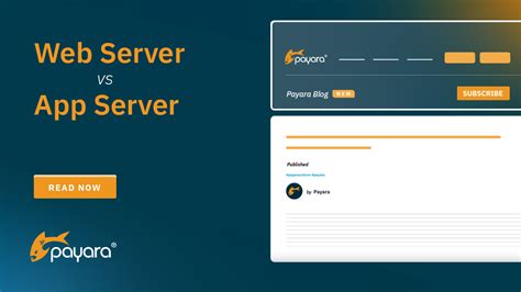 Web Server Vs Application Server Whats The Difference Payara