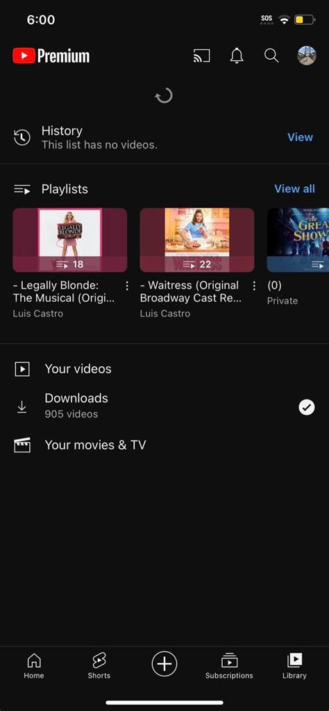 My Playlists Wont Load Ryoutube