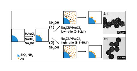 Citrate Regulated Surface Morphology Of Sio2au Particles To Control