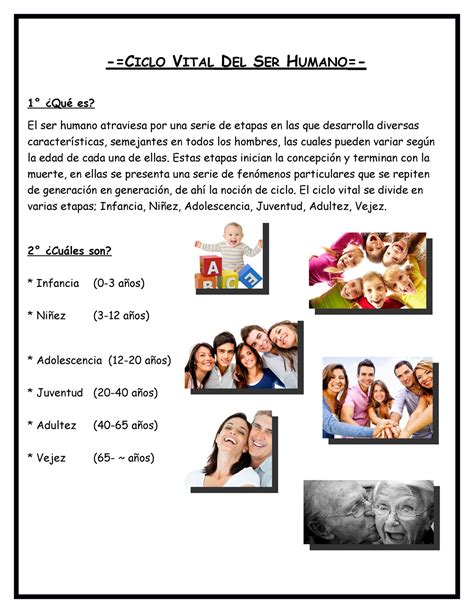 Ciclo Vital Del Ser Humano C Iclo V Ital D El S Er H Umano 1° ¿qué