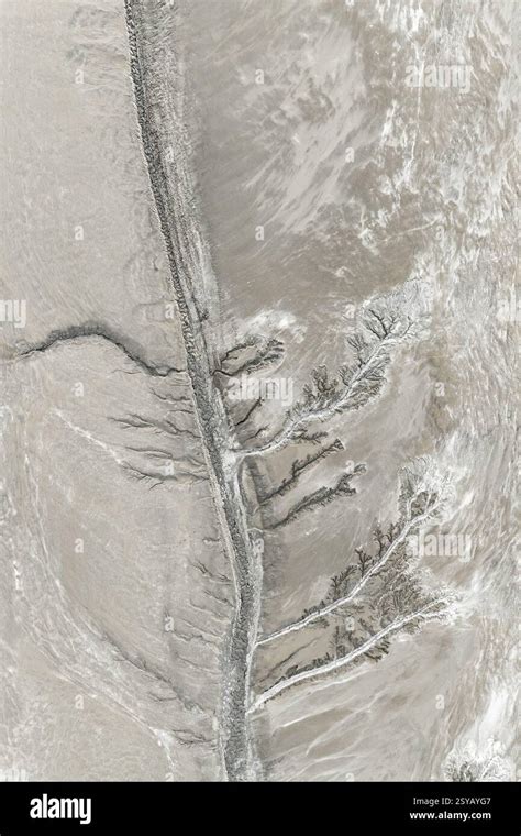 Aerial View Of Fractal Mud Patterns Resembling A Tree With Branching Paths Subtle Earthy Tones