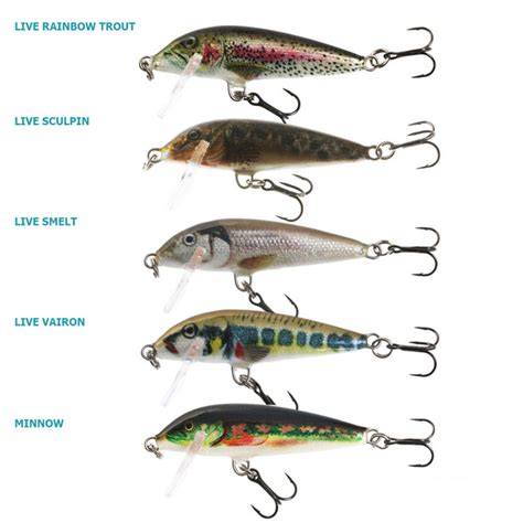 Rapala Countdown Cd 7 Sinking Lure 7cm Wild Outdoorsman Fishing And