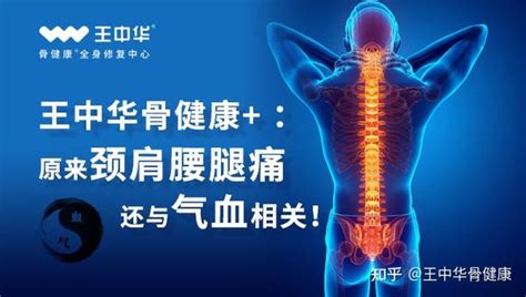 王中华骨健康—骨骼的基本构造和组织 知乎