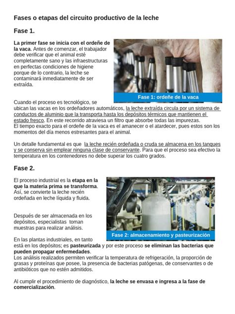 Fases O Etapas Del Circuito Productivo De La Leche Pdf Leche
