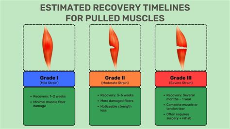 How To Speed Up Pulled Muscle Recovery With Proven Methods