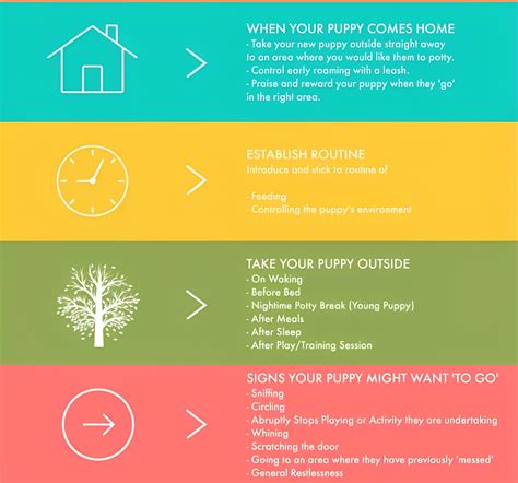 How To Potty Train A Beagle Puppy: Your Easy 7-Step Guide