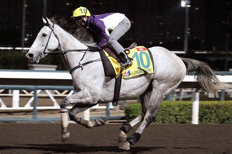 浪琴表香港國際賽事週三晨操圖輯 賽馬新聞 香港賽馬會