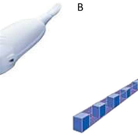 Conventional Linear And Matrix Linear Probes Conventional Linear Download Scientific Diagram