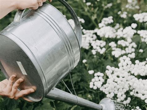 How Often Should You Post On Instagram In 2025 What Data From 2