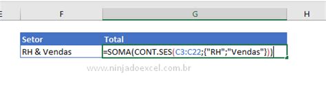 Função CONTE SES Com Dois Critérios Ninja do Excel