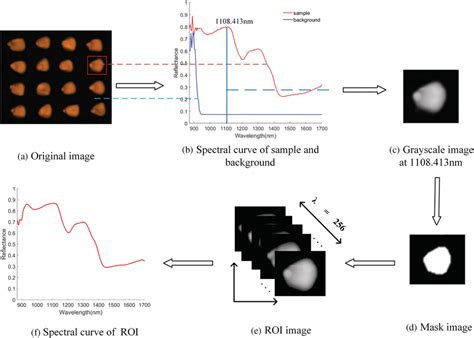 Flow Chart Of Hyperspectral Data Extraction Of Maize Seeds Download