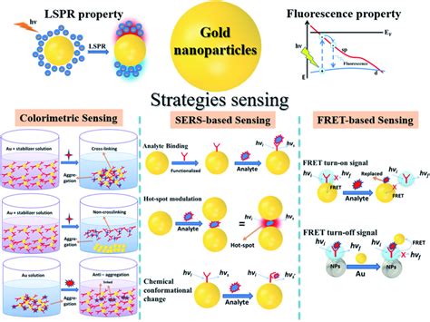 Illustration Of Gold Nanoparticles Their Optical Properties And