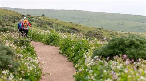 Rei Point Reyes National Seashore Backpacking Sunset Magazine