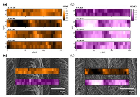 Raman Spectroscopy Mapping Of The Regions Of Each Lig Sample 20 By 150 Download Scientific