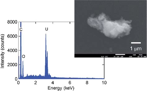 A Scanning Electron Microscopy Image And An Edx Spectrum Of A Uranium