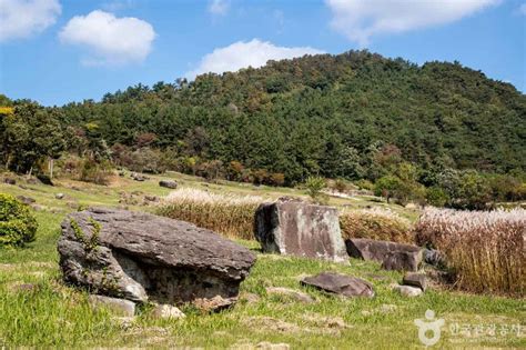 고창 고인돌 유적 유네스코 세계유산 전북특별자치도 고창군 가볼만한곳 관광지랭킹 고창 고인돌 유적 유네스코 세계유산 전북특별자치도 고창군 가볼만한곳 관광지랭킹