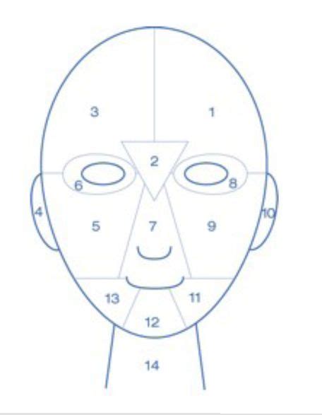 FACE MAPPING Ideas Face Mapping Face Reflexology